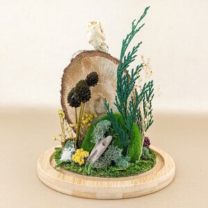 Z23d BABY Rattlesnake Glass Dome Display Snake Taxidermy - Etsy