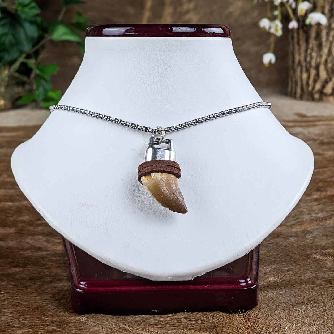 Dinosaur Tooth Necklace Real Mosasaur Fossil Dino Tooth Jewelry Oddity ...