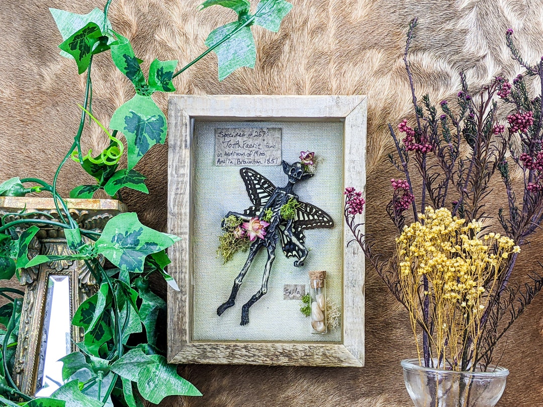 G24d Gothic Woodland Tooth Fairy Curiosities Oddity Dark Cottagecore ...