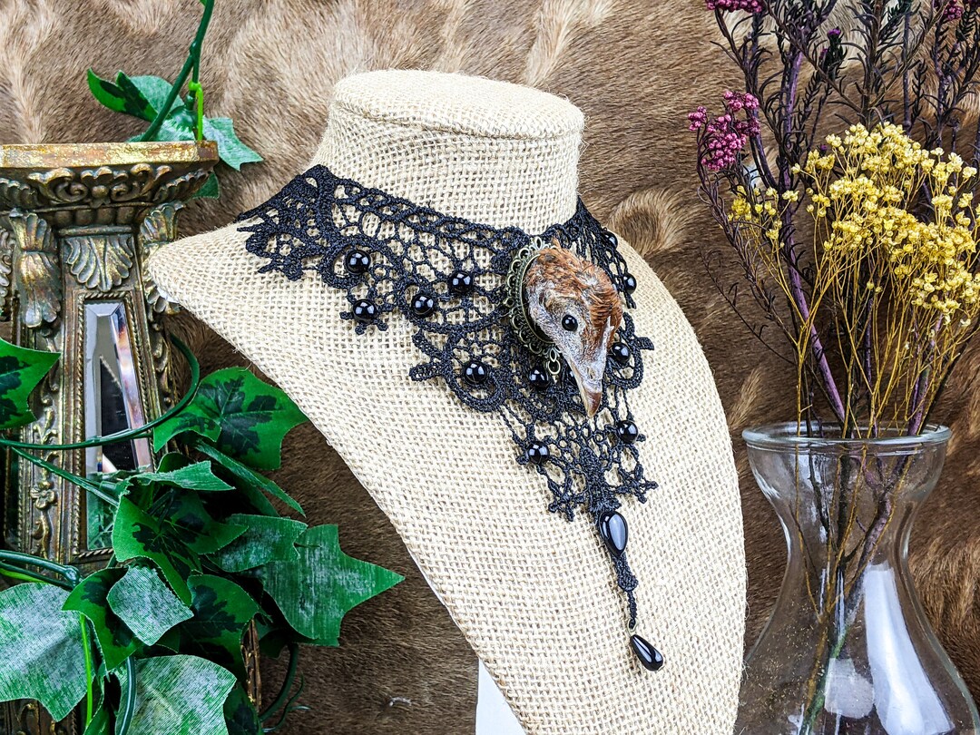Gothic Chicken Head Taxidermy Oddities Curiosities Choker Necklace ...