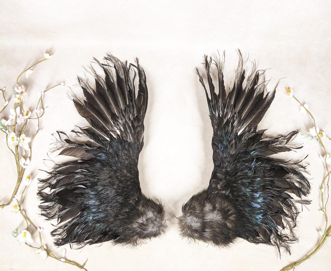 Fallen Angel Silkie Rooster Fallen Angel Bird Wings Taxidermy Oddity ...