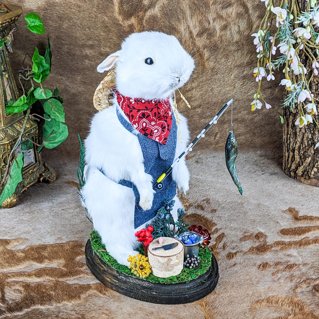 Fishing Rabbit Taxidermy Standing Mount Display Oddities Curiosities ...