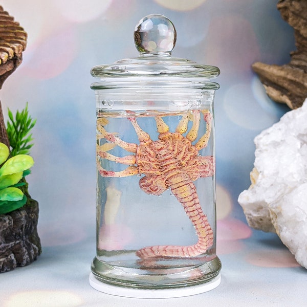Alien Jar Xenomorph Specimen - Etsy
