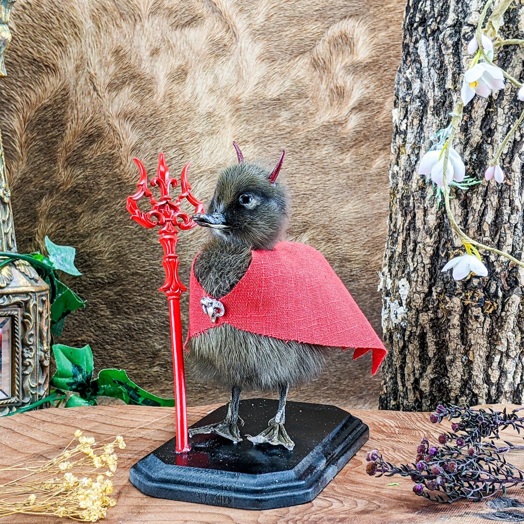 Devil Satan Costume Duck TAXIDERMY Curiosities Oddities Halloween Baby ...