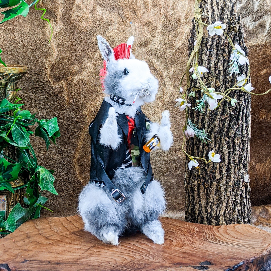 Punk Rabbit Taxidermy Standing Mount Display Oddities Curiosities ...