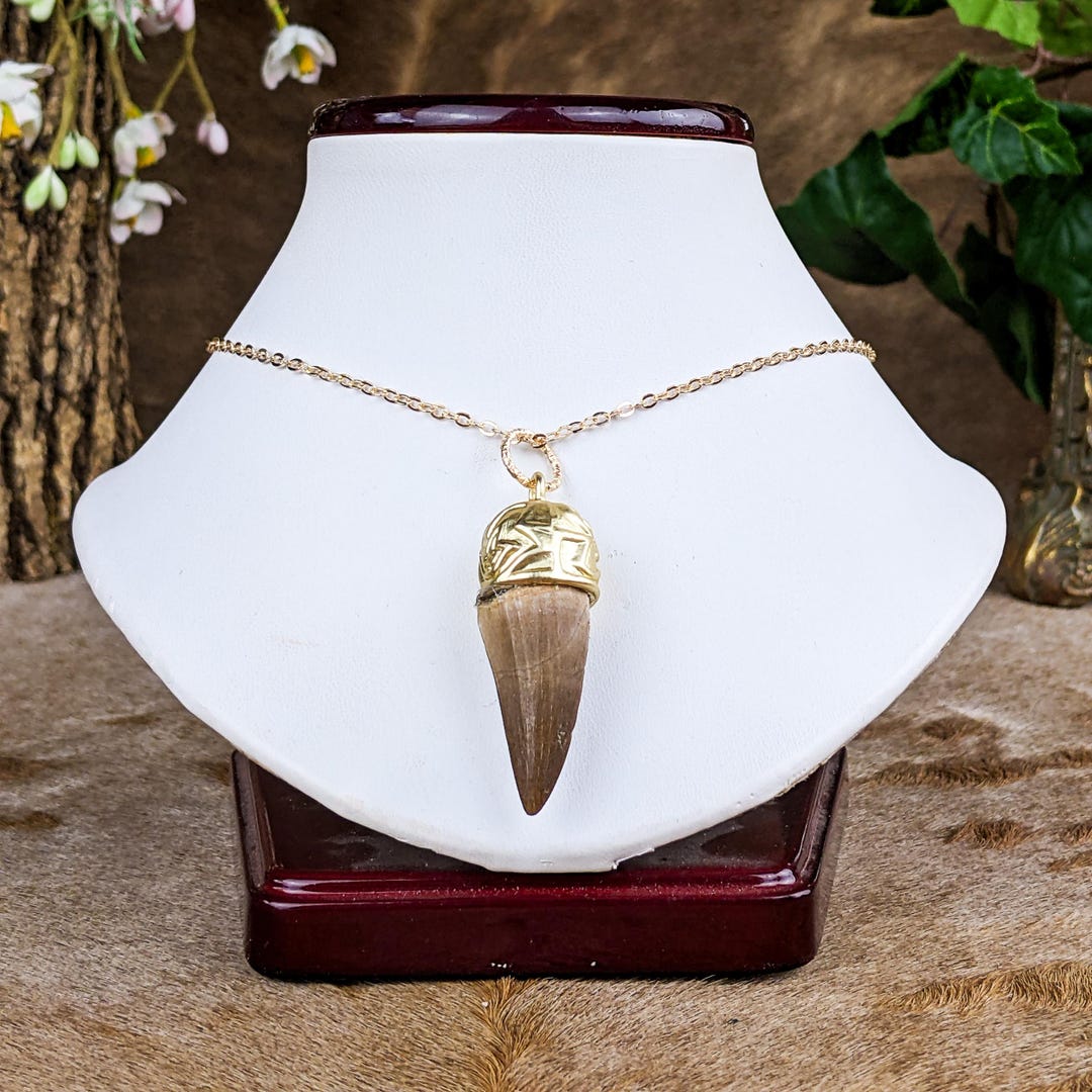 Dinosaur Tooth Necklace Real Mosasaur Reptile Fossil Dino Jewelry ...