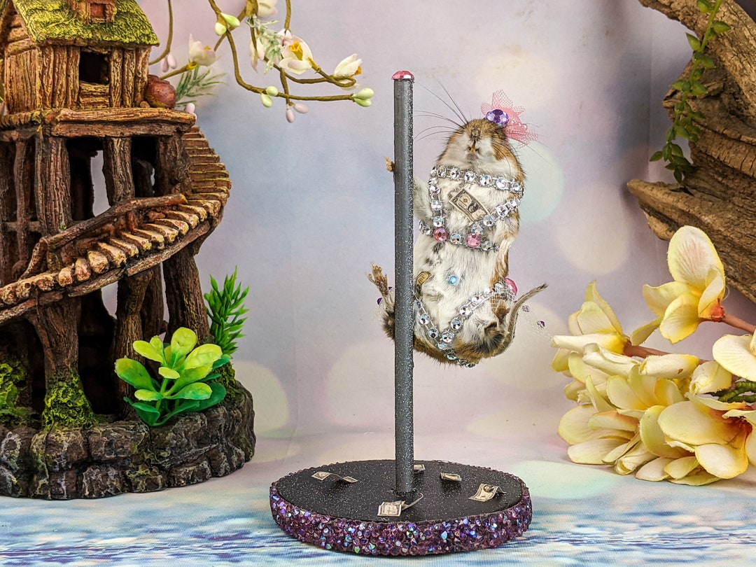 V36d Stripper Mouse Pole Burlesque Showgirl Taxidermy Oddities ...