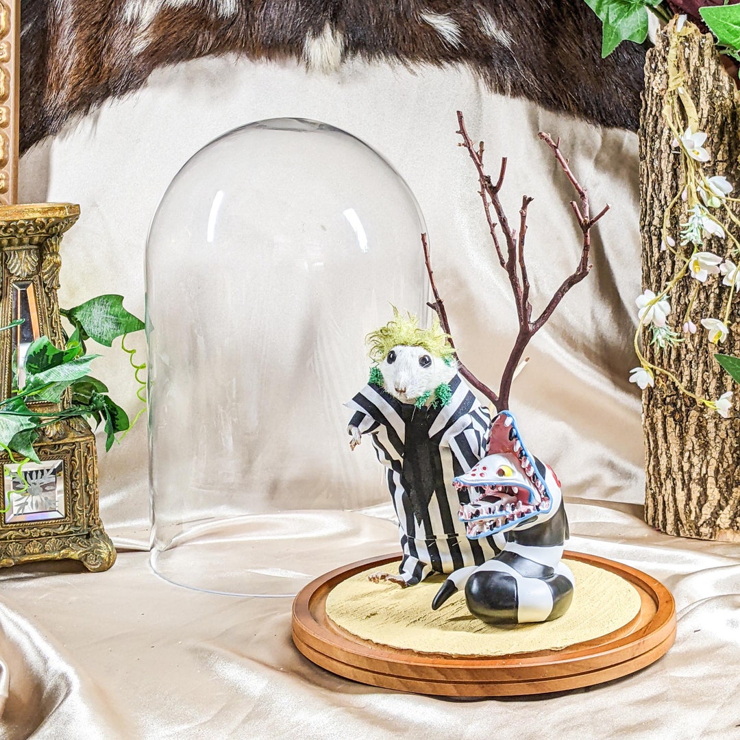 Beetlejuice Rat & Sandworm Dome Taxidermy Curiosities Oddities Display Odd Horror Tim Burton ...