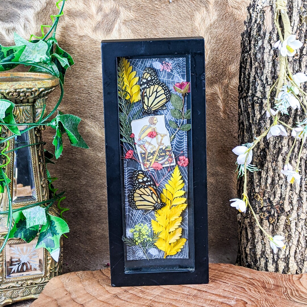 2 Monarch Butterfly Frame Taxidermy Fancy Framed Anthropomorphic ...