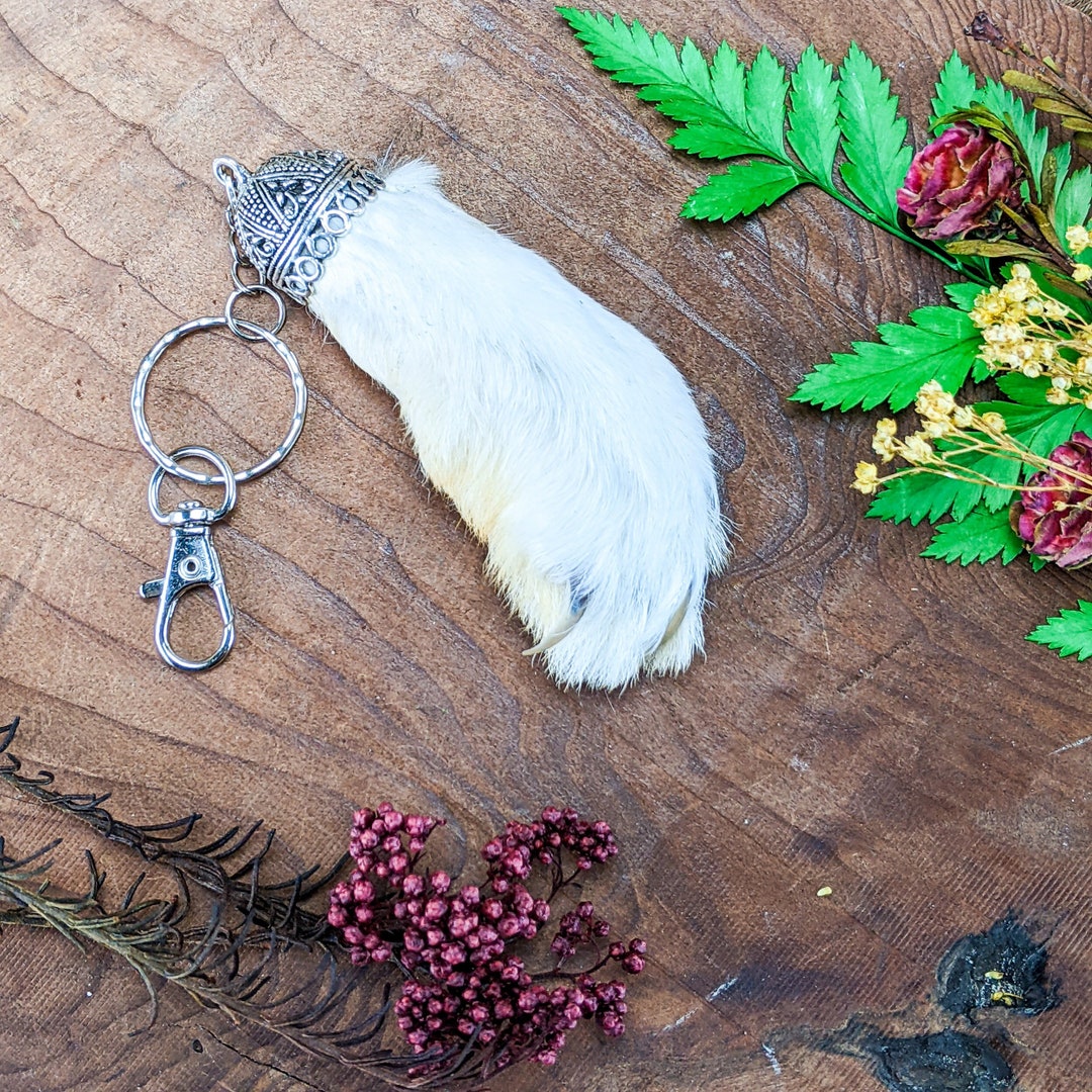 RF11 Real Rabbit Foot Hook Keychain NATURAL Good Luck - Etsy