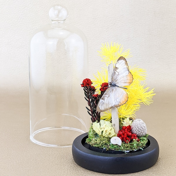 Victorian Butterfly Dome - Etsy