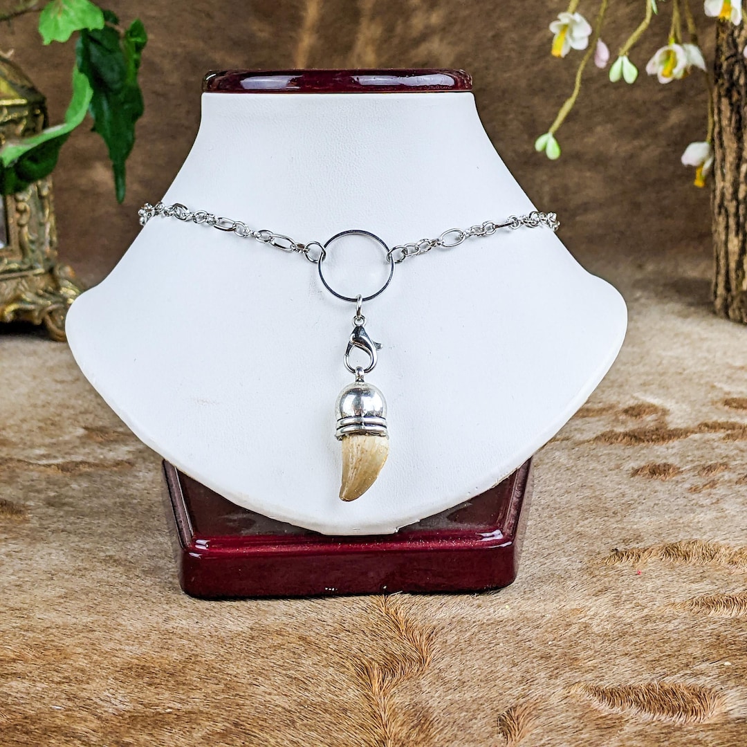 Dinosaur Tooth Real Mosasaur Reptile Fossil Dino Tooth Necklace Jewelry ...