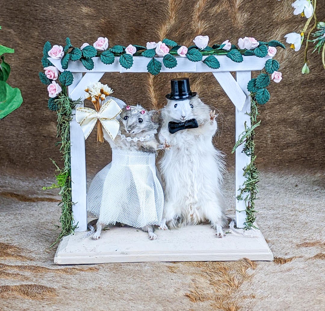 Bride and Groom Mice Mouse Taxidermy Anthropomorphic Collectible ...