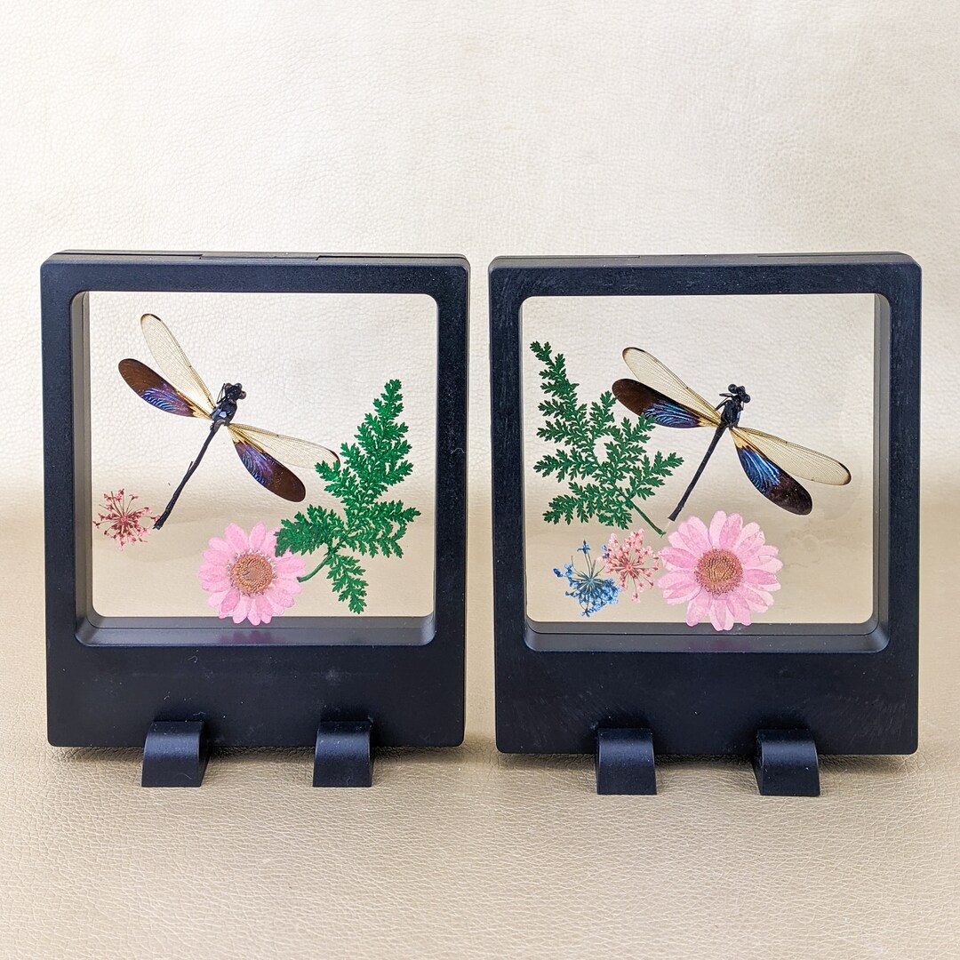 Dragonfly Display Blue Green Metallic Blue Metal Wing Display ...