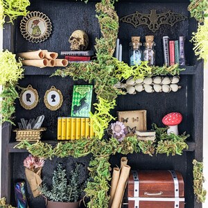 Fairy Bookcase Haunted Witches Cabinet Miniature Spooky Oddities ...