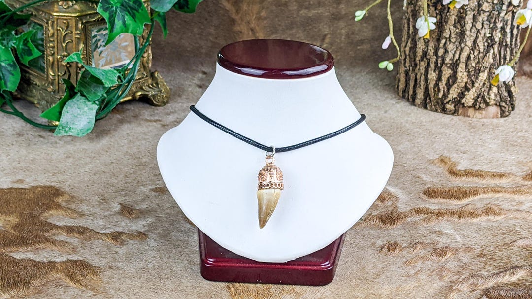 Dinosaur Tooth Real Mosasaur Reptile Fossil Dino Tooth Necklace Jewelry ...