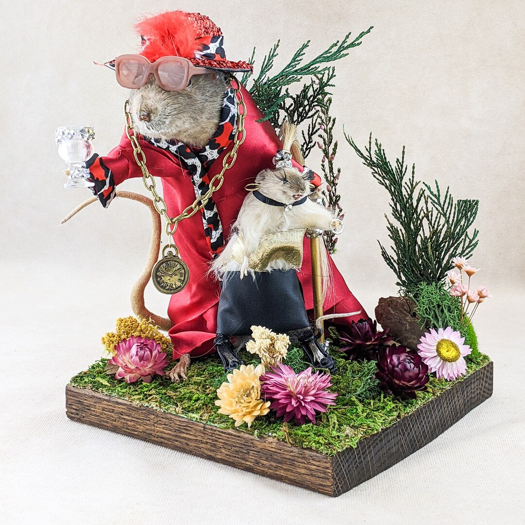 Pimp Rat & Hooker Mouse Taxidermy Décor Oddities Curiosity Specimen ...