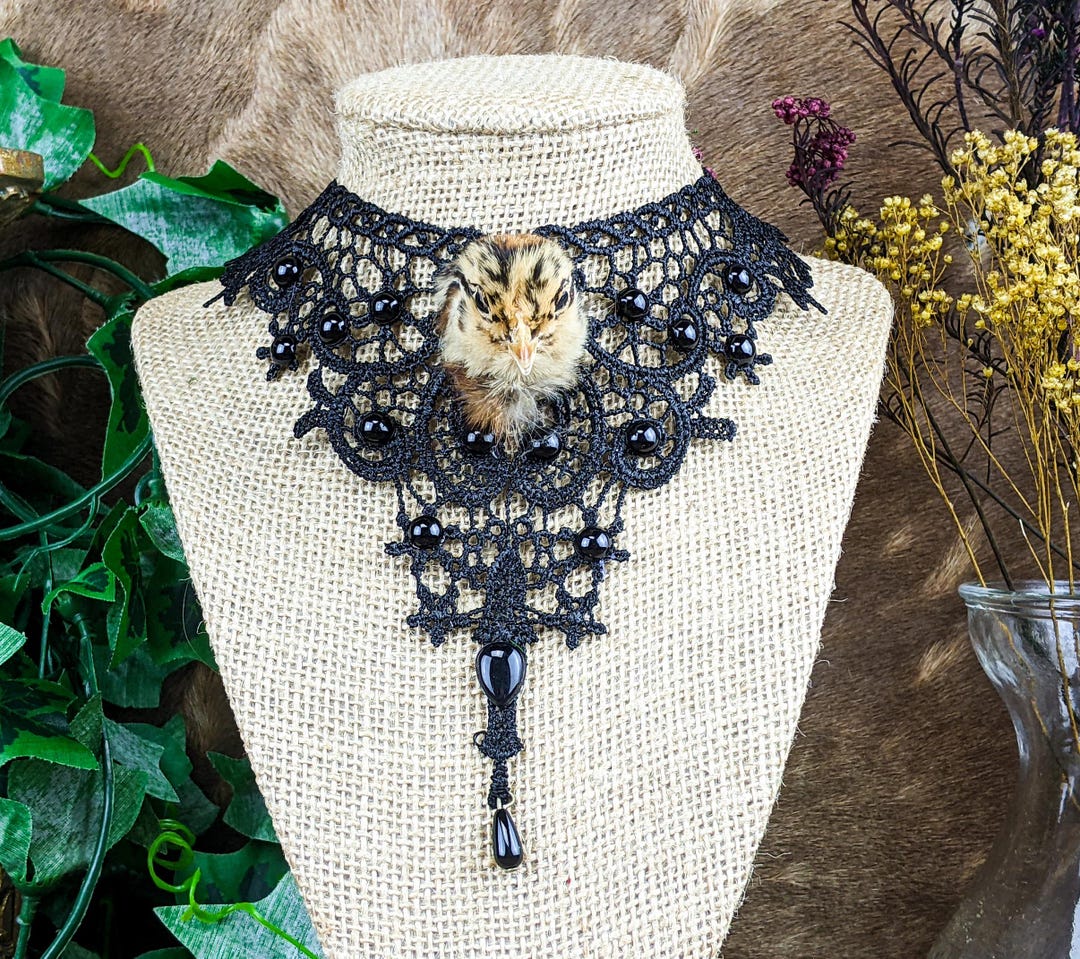 Chicken Head Choker Necklace Real Baby Chick Taxidermy Oddities ...