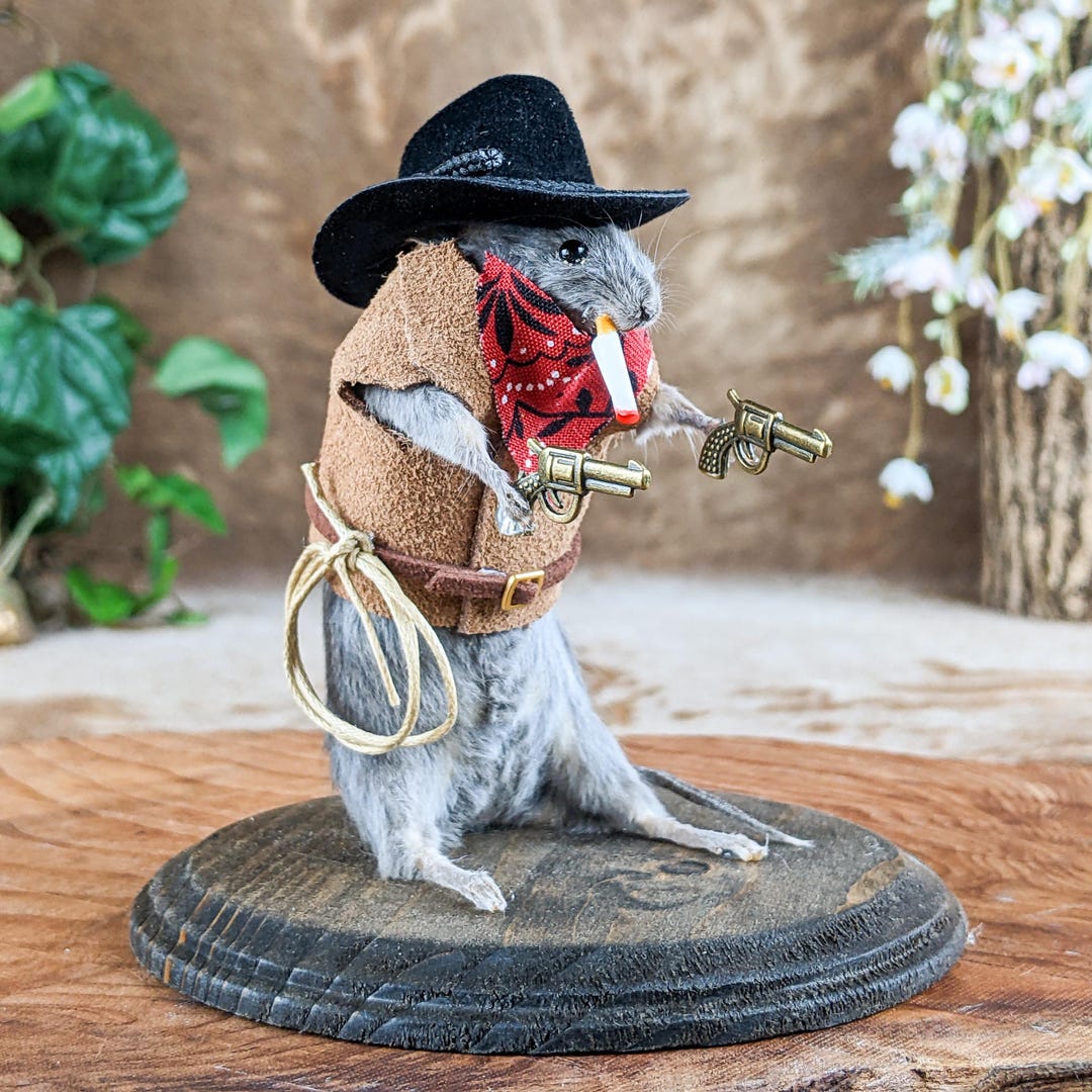 Cowboy Mouse Western Taxidermy Oddity Curiosity Display Standing Mount ...