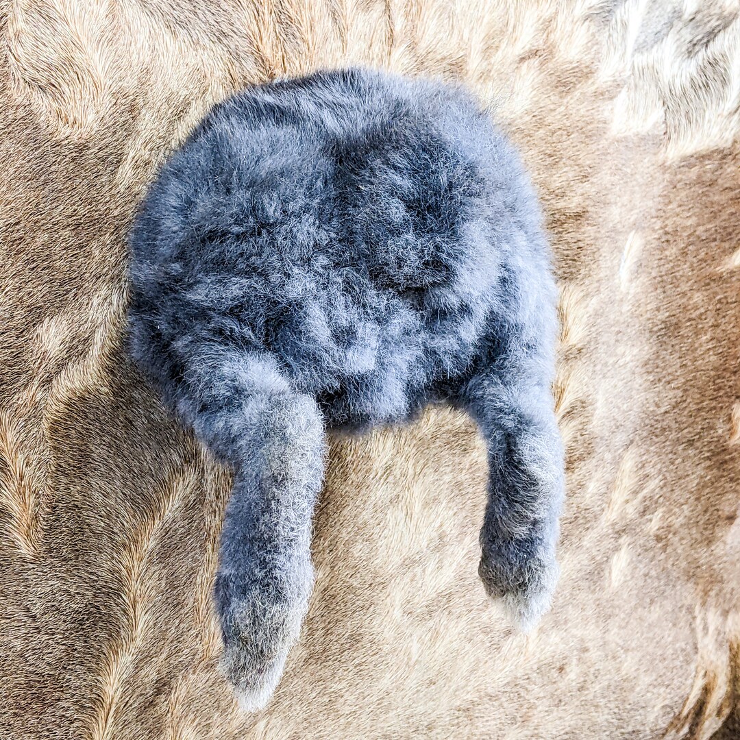 L35m Bunny Rabbit Butt Rump Taxidermy Oddities Curiosity Half Mount ...