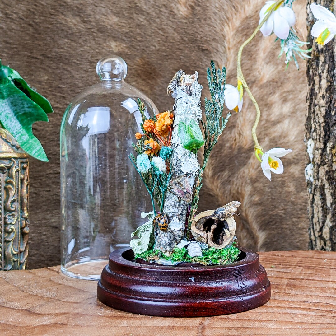 Grn & Brwn Stink Bugs 2 Glass Dome Display Victorian Style ...