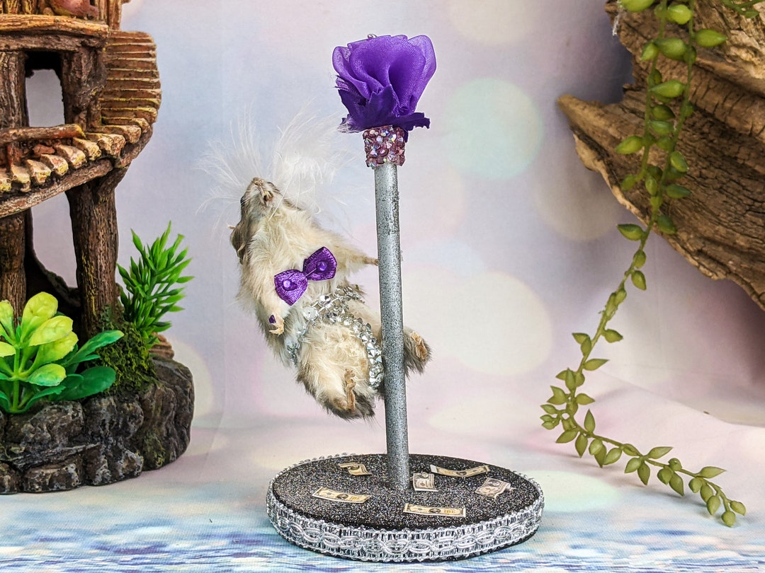 V36e Stripper Mouse Pole Burlesque Showgirl Taxidermy Oddities - Etsy