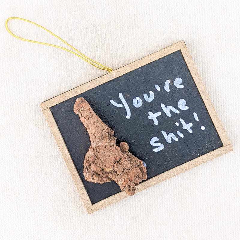 Real Poop - Etsy