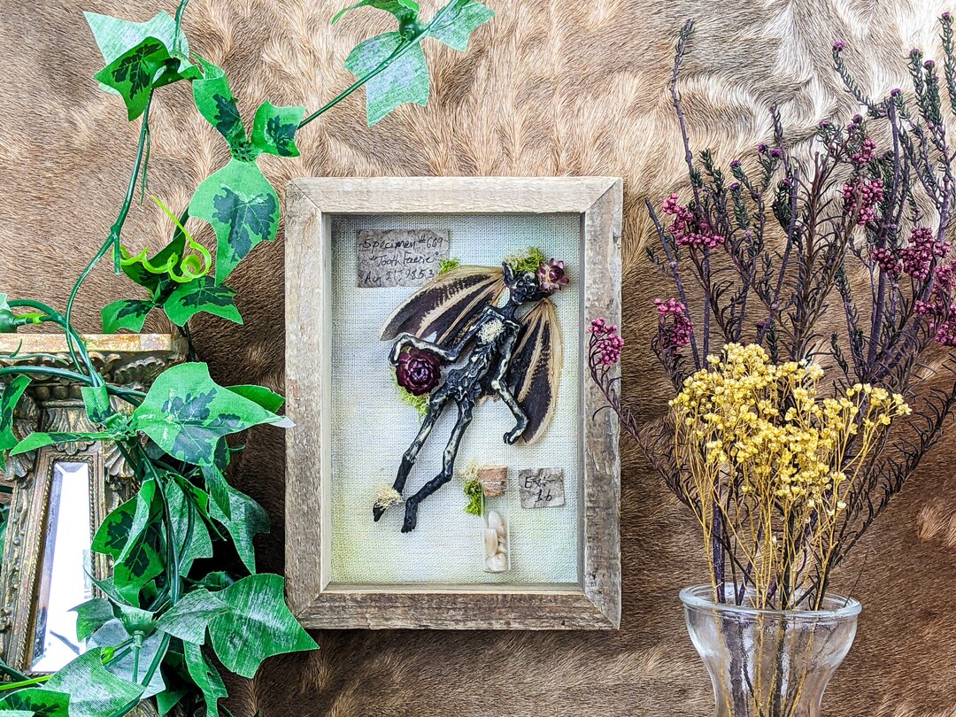 G24e Gothic Woodland Tooth Fairy Display Curiosities Oddity - Etsy