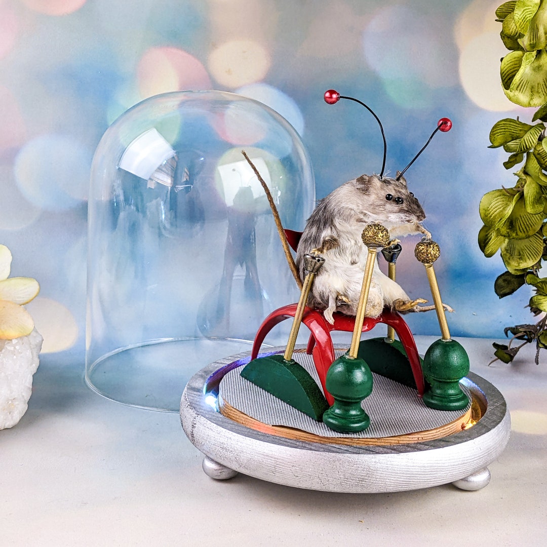 W50g Lite Up Alien Mouse Taxidermy Glass Dome Display Oddities ...