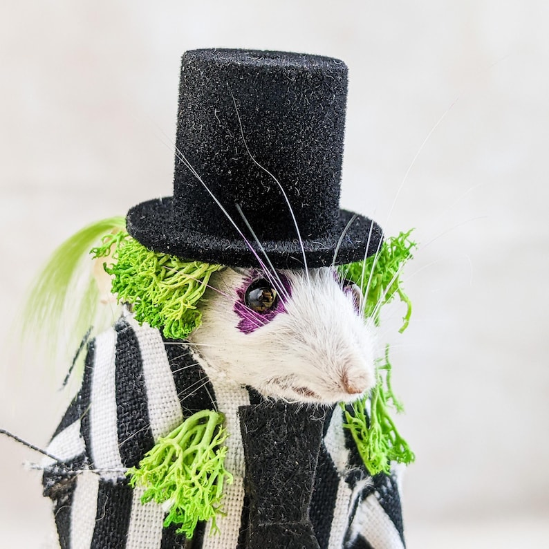 Beetlejuice Sandworm Mouse Standing Display Taxidermy Oddity Curiosity ...