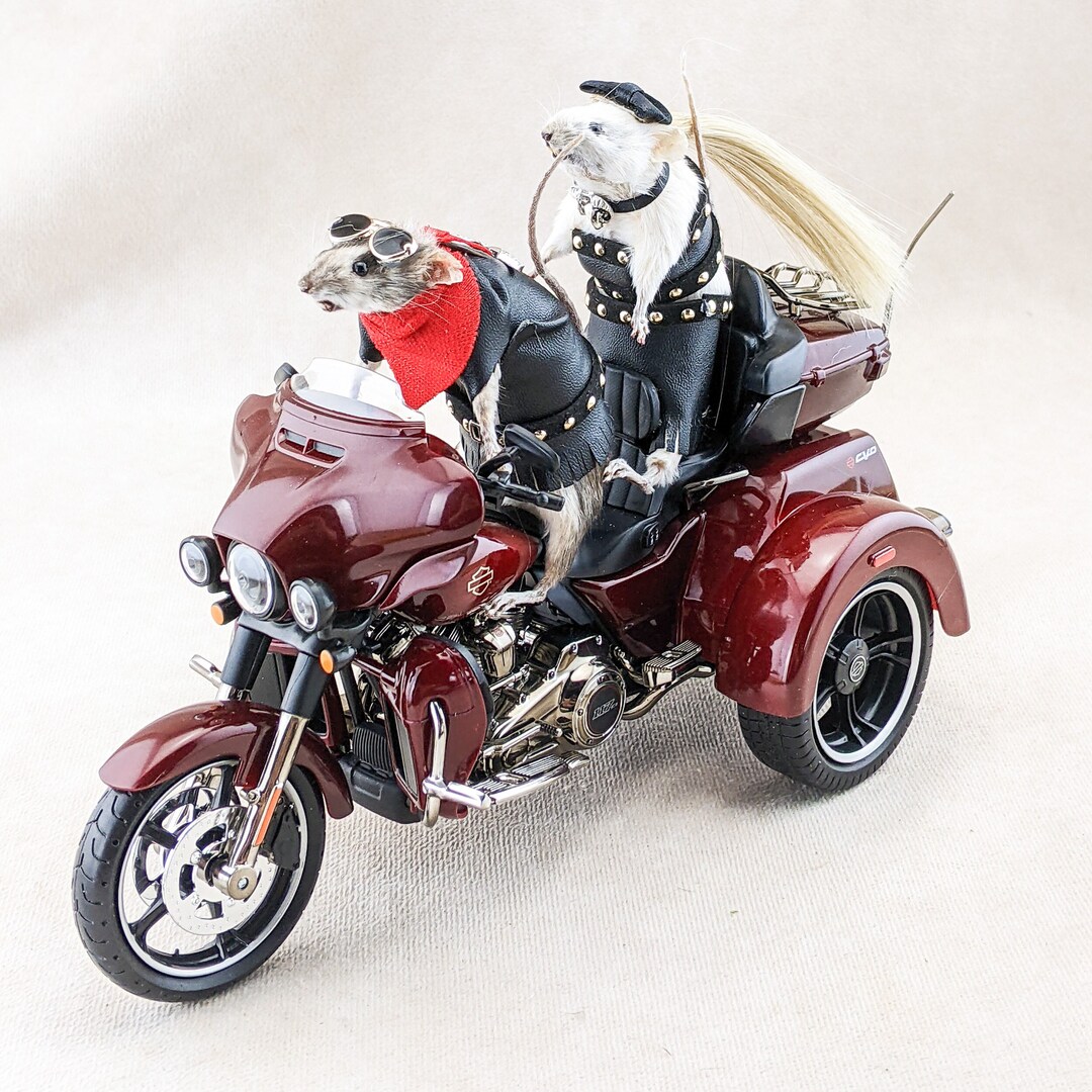 A37i Motorcycle Biker Mouse Couple Biker Chopper Taxidermy Oddity ...