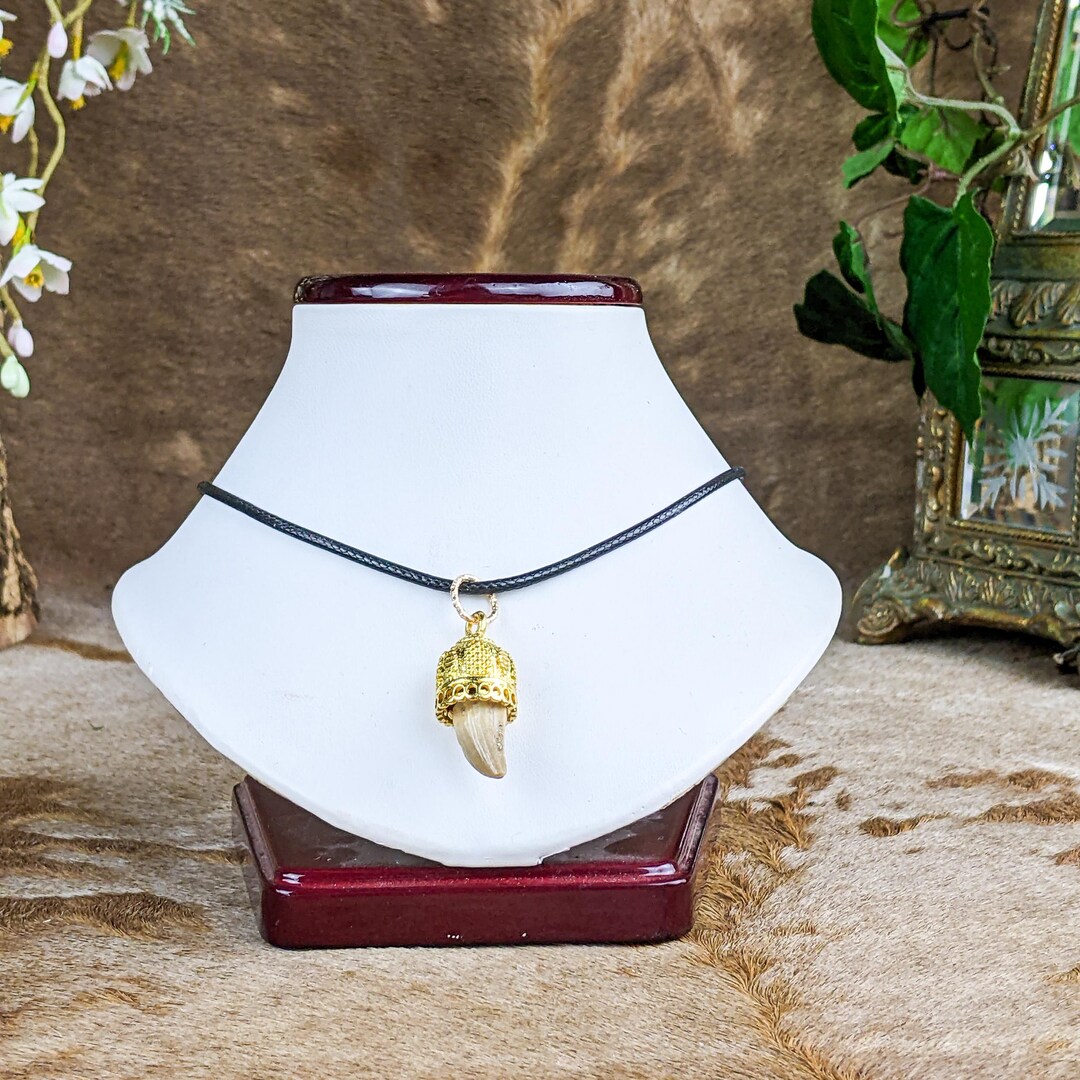 Dinosaur Tooth Real Mosasaur Reptile Fossil Dino Tooth Necklace Jewelry ...