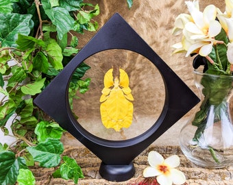 Mimic Cabinet - Etsy