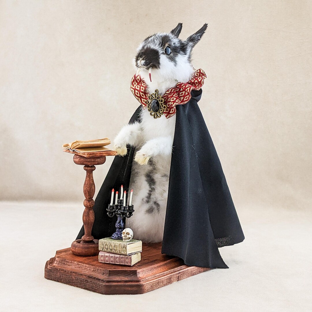 Dracula Vampire Rabbit Taxidermy Oddities Curiosities Fangs Gothic ...