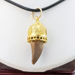 Dinosaur Tooth Real Mosasaur Reptile Fossil Dino Tooth Necklace Jewelry ...