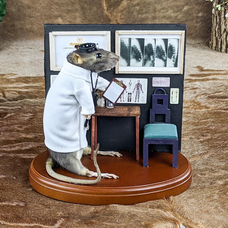 Medical Oddities - Etsy