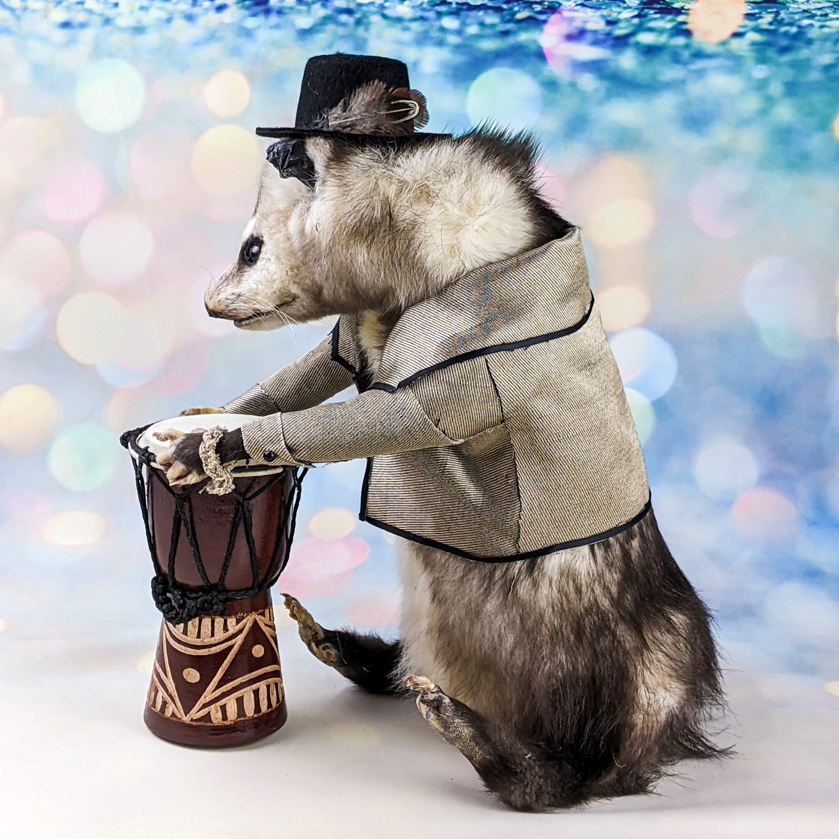Opossum Bongo Player Taxidermy Oddities Curiosity Anthropomorphic ...