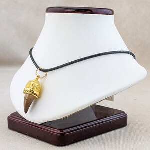 Dinosaur Tooth Real Mosasaur Reptile Fossil Dino Tooth Necklace Jewelry ...