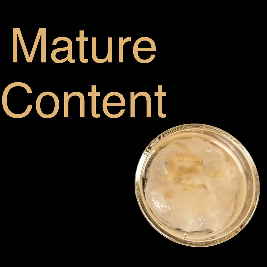 JF4 Jellyfish Wet Specimen Oddities Curiosities Nautical Glass Jar ...