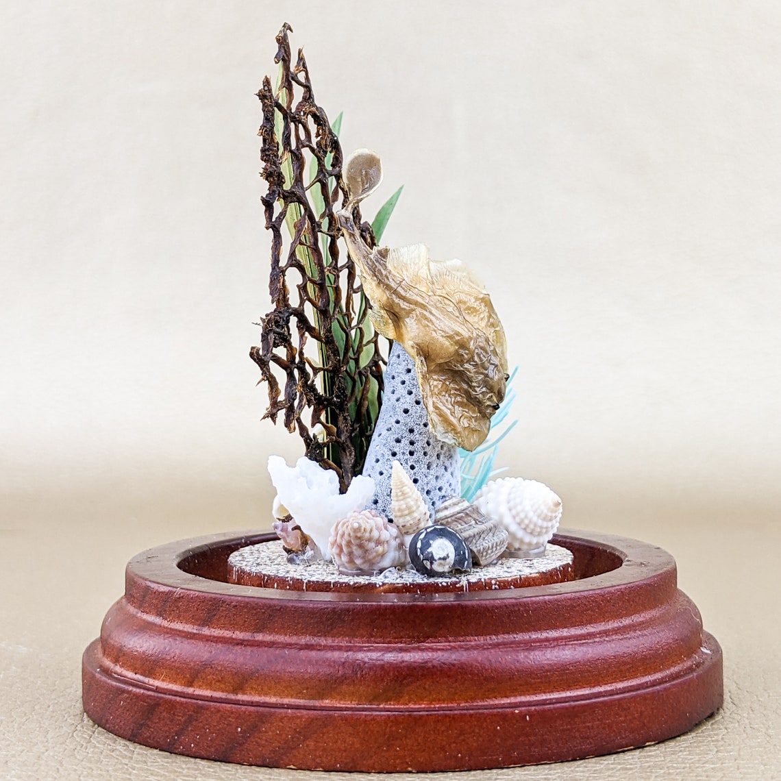 K32g Torpedo Fish Real Taxidermy Glass Dome Display Nautical - Etsy