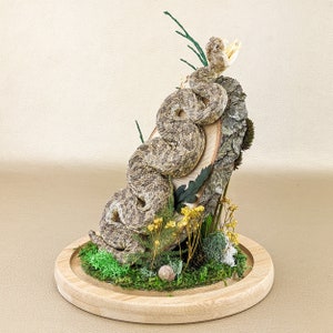 Z23d BABY Rattlesnake Glass Dome Display Snake Taxidermy - Etsy