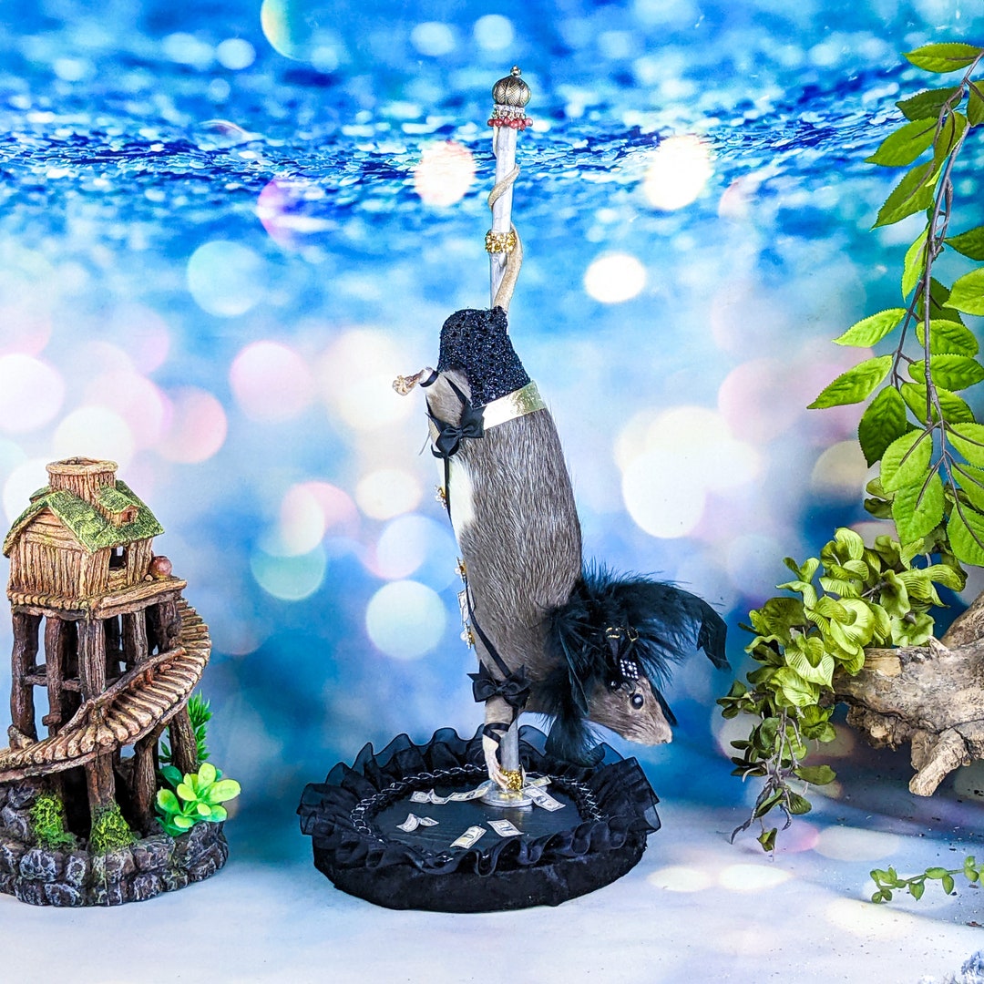 Stripper Rat Pole Burlesque Showgirl Taxidermy Oddities Curiosities ...