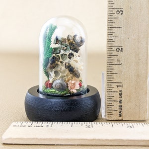 W194e Honey Bee Bees Comb Glass Dome Display Entomology Taxidermy ...