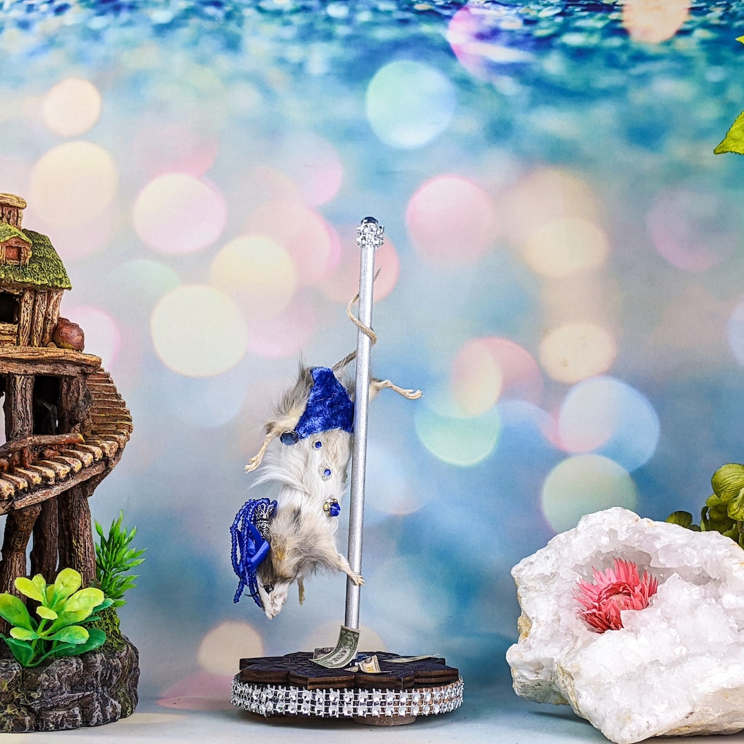 V36k Stripper Mouse Pole Burlesque Showgirl Taxidermy Oddities ...