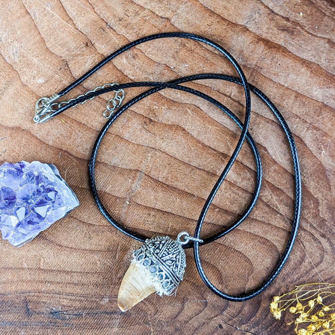 Dinosaur Tooth Real Mosasaur Fossil Dino Tooth Necklace Jewelry Oddity ...