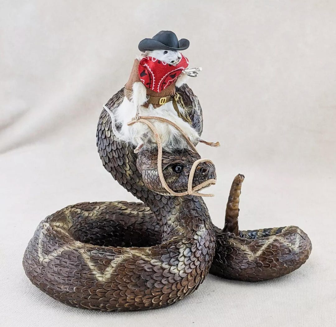 Real Mouse Resin Rattlesnake Cowboy Round-up Taxidermy Curiosity Oddity ...