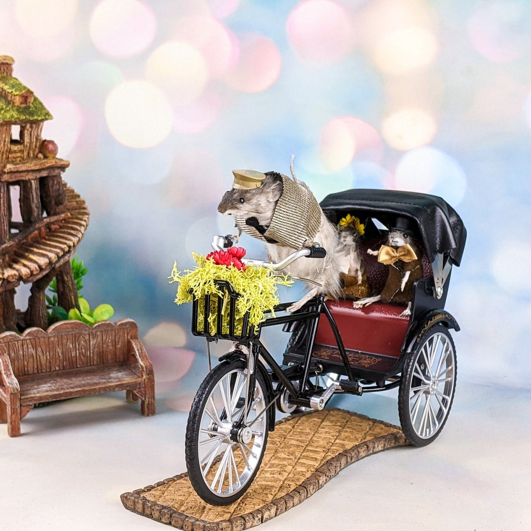 Mouse Bicycle Carriage Taxidermy Display Oddities Curiosities Romantic ...