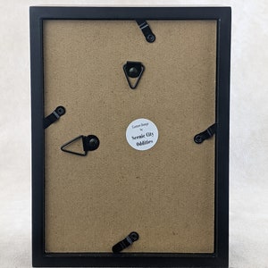E19 Taxidermy Frog Skeleton Framed Black on Black Boie's Wart Frog Shadowbox Collectible ...