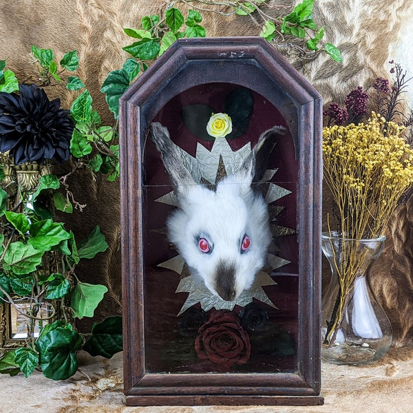 Rabbit Head Mount - Etsy