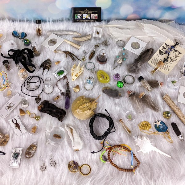 Oddities and Curiosities - Etsy